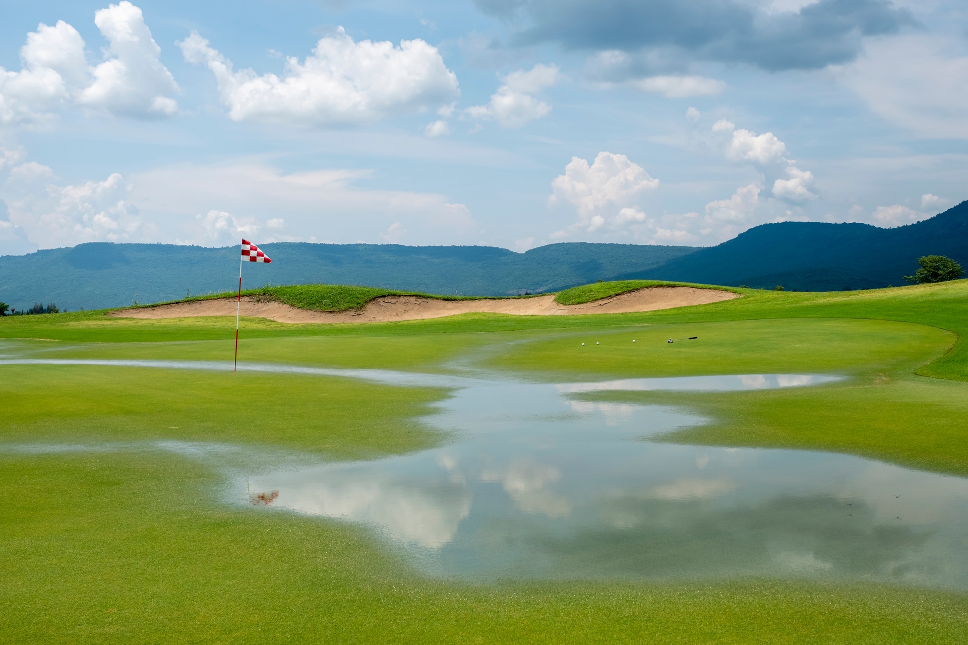 The Science of Tines I Redexim